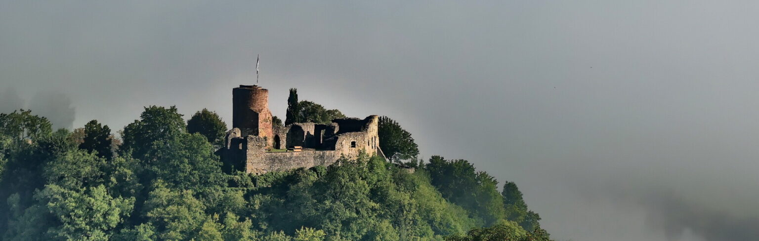 Burgruine Polle – Polle